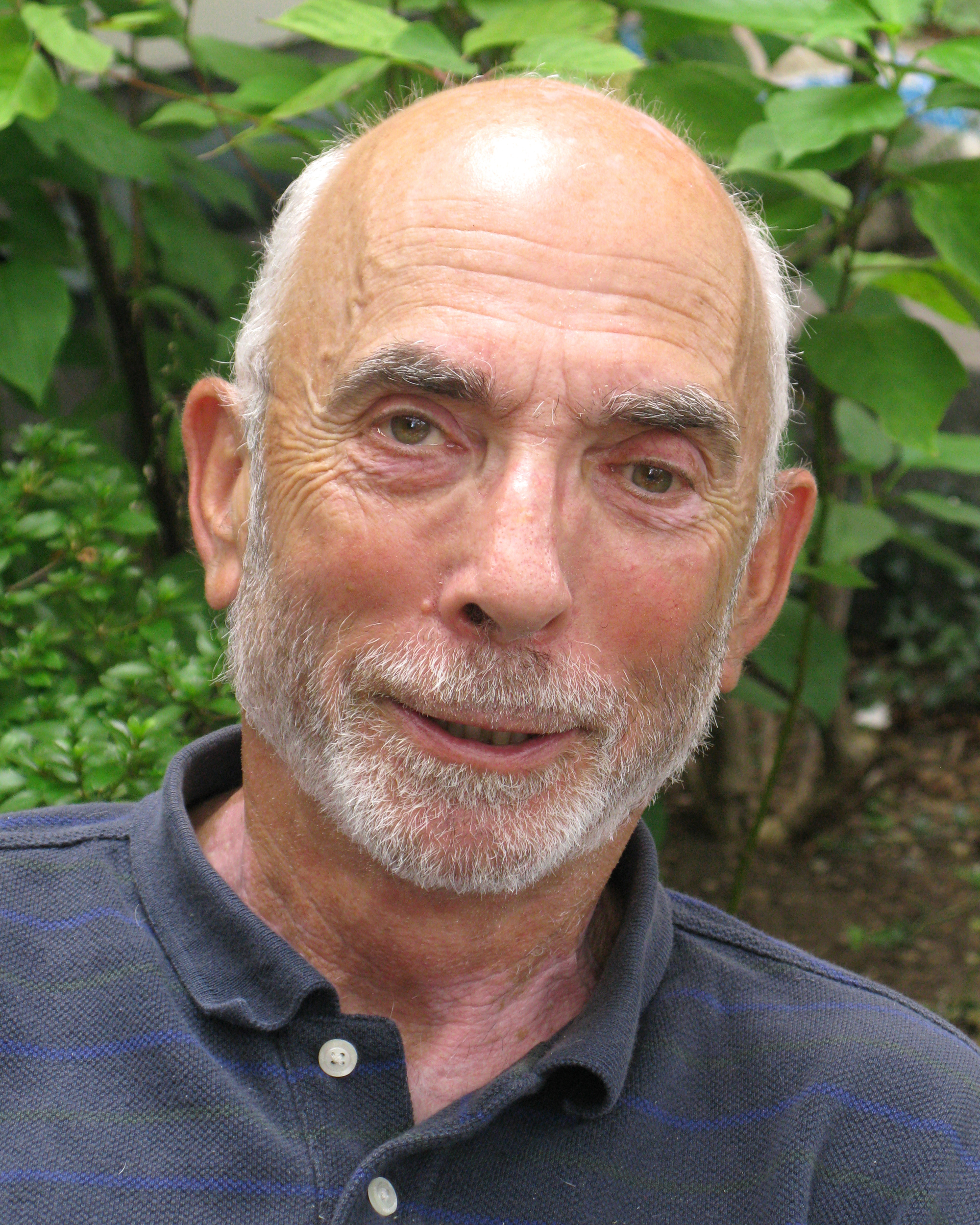 About the Author – Psychiatry in Trouble